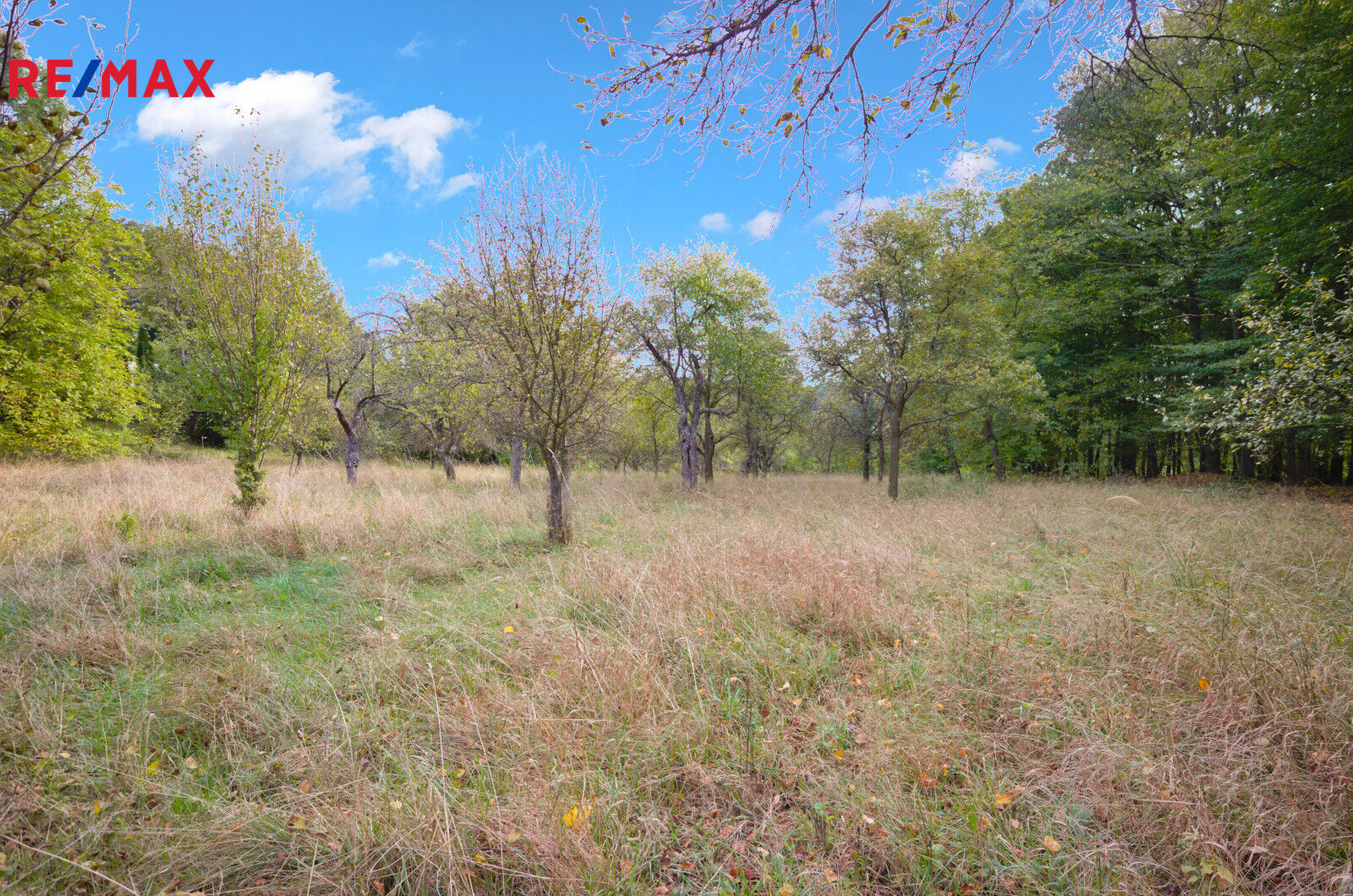 Prodej pozemku 1860 m², Březnice | Reality RE/MAX